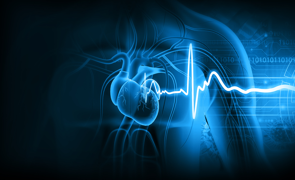 Groundbreaking Research Could Benefit Heart Valve Patients